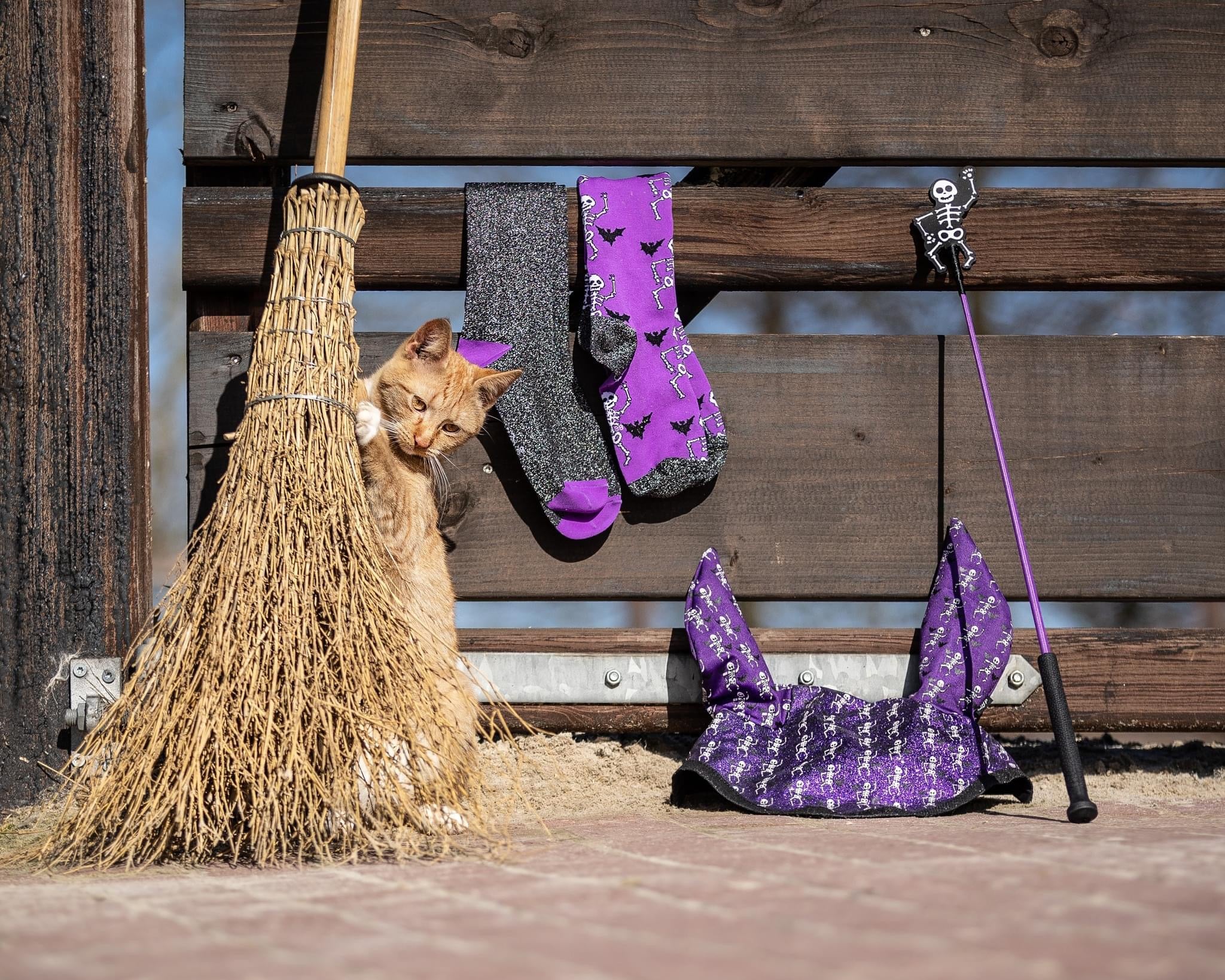 Stal & Weide – Dokihorse